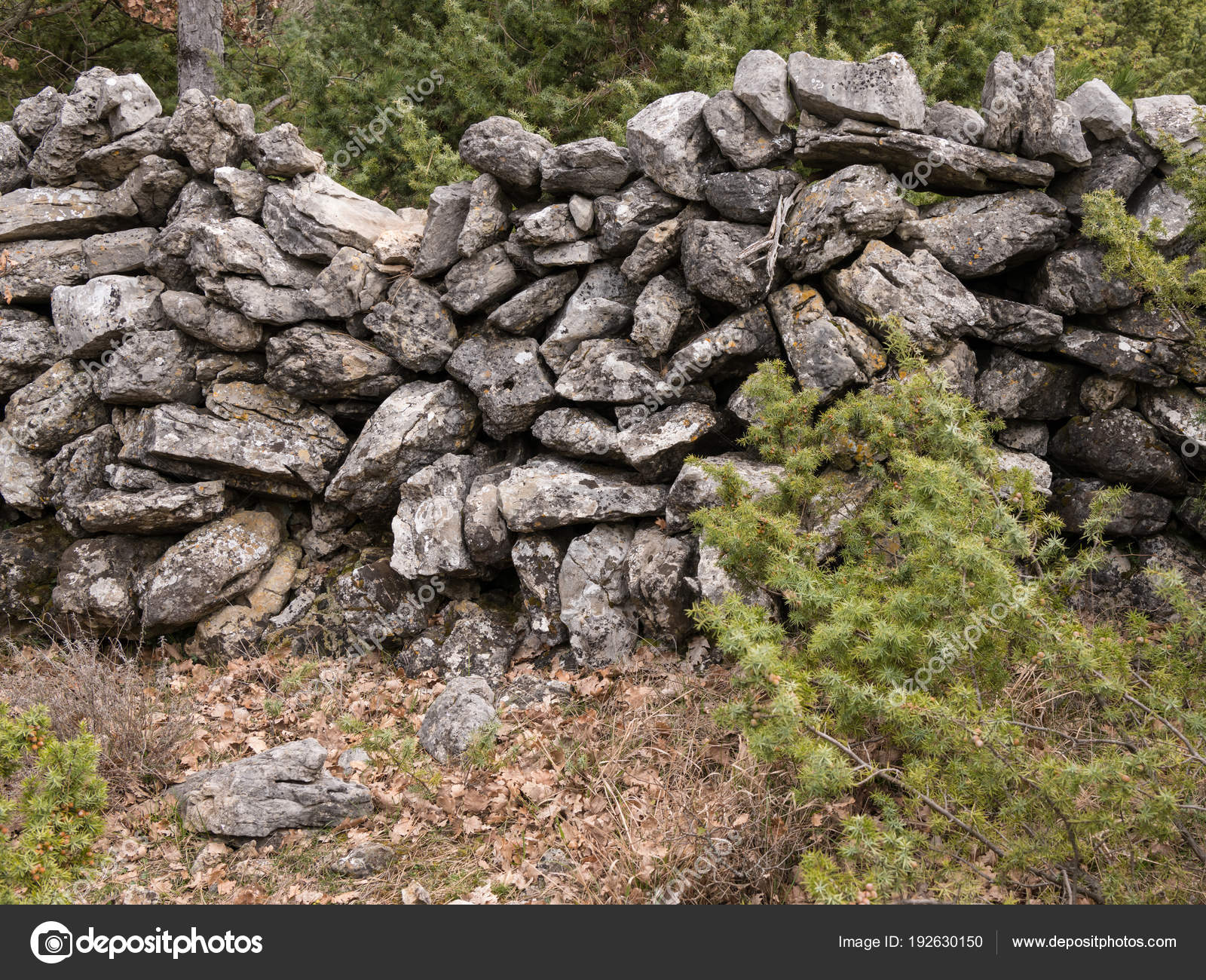 An old stone wall in the forest in Croatia — Stock Photo © coboflupi ...