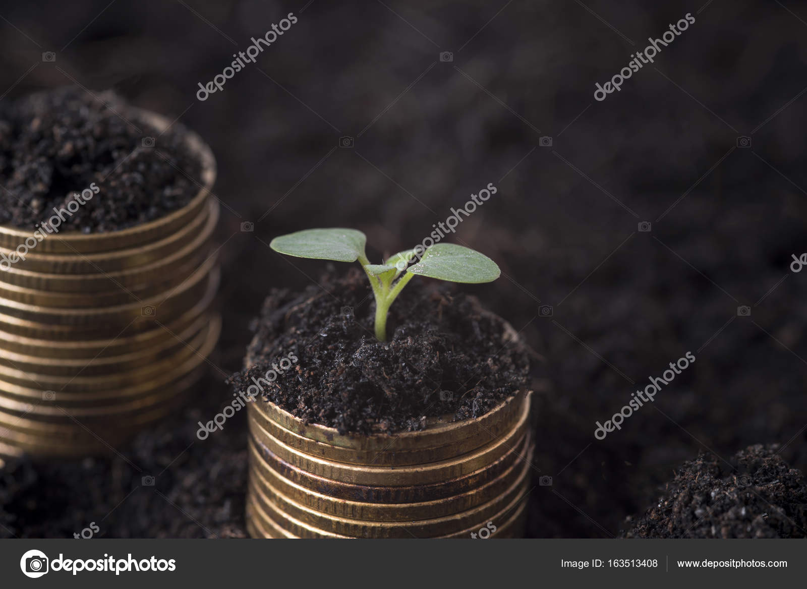 Seeding Plant seed growing on pile of coins money. — Stock Photo ...