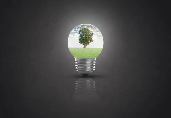 Tree light bulb Stock Photos, Royalty Free Tree light bulb Images ... Tree light bulb Stock Photos, Royalty Free Tree light bulb Images ...