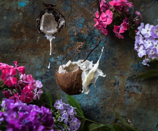 Stop motion flower Stock Photos, Royalty Free Stop motion flower Images ...