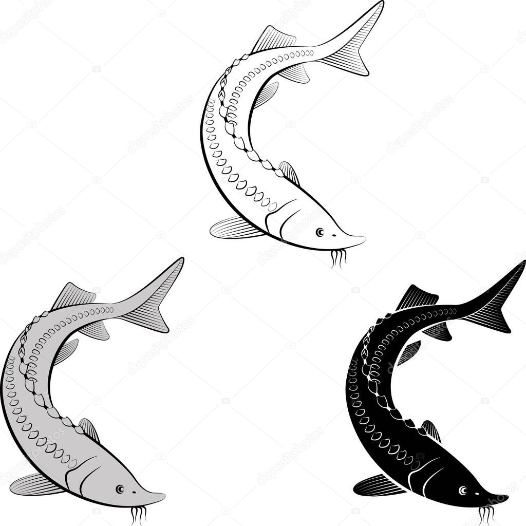 Sturgeon Tattoos
