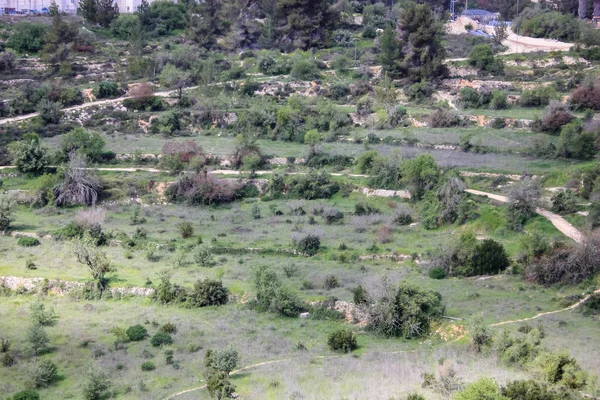 Ayalon valley Stock Photos, Royalty Free Ayalon valley Images ...