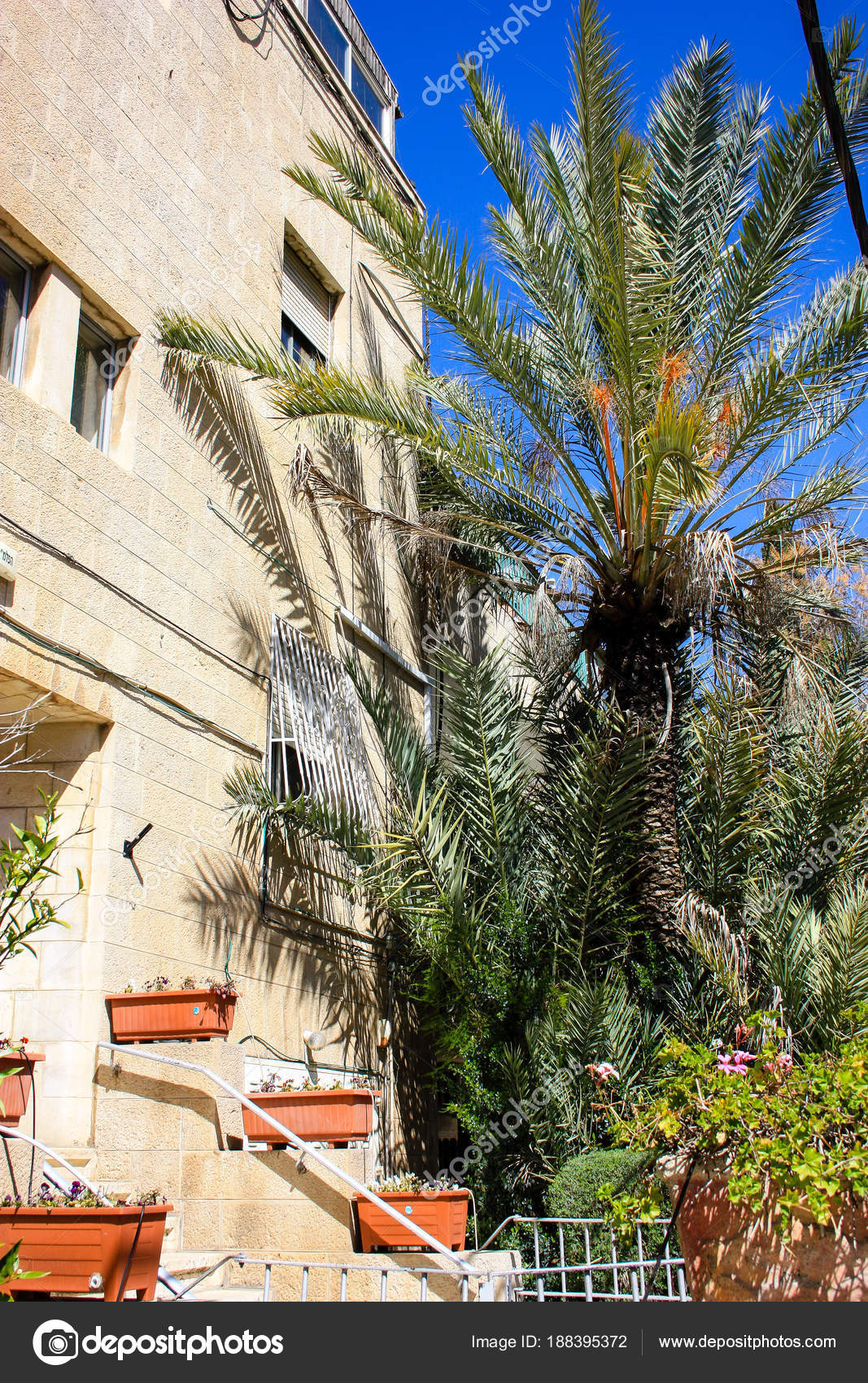 View Building Palmah Street Katamon Area Jerusalem Israel March 2018 ...