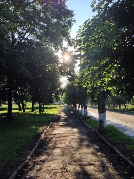 Park road Stock Photos, Royalty Free Park road Images | Depositphotos