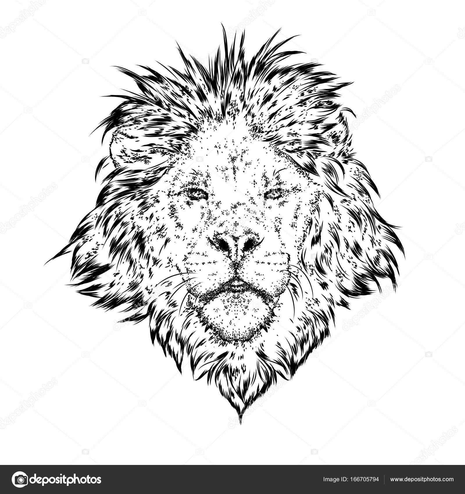 A beautiful lion. Vector illustration for a postcard or a poster, print ...