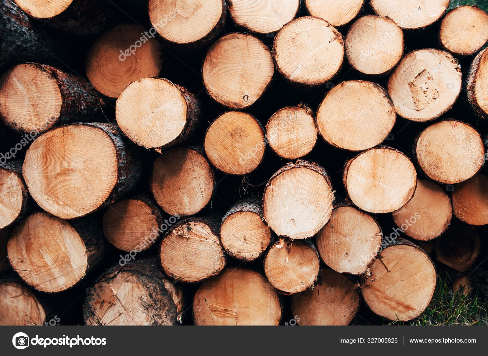 Stacked Top Each Other Close View Front Many Logs Prepared — Stock ...