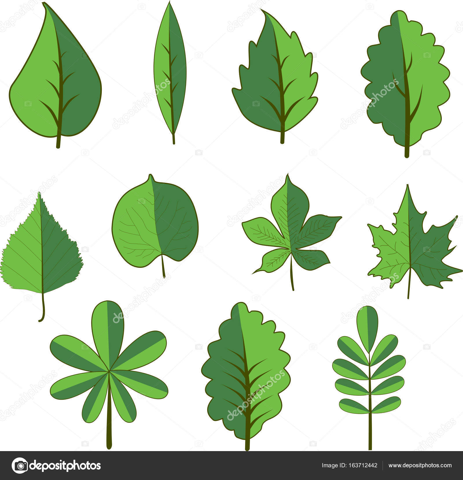 Vector set deciduous trees. Tree and leaf Clip Art. — Stock Vector ... Vector set deciduous trees. Tree and leaf Clip Art. — Stock Vector ...