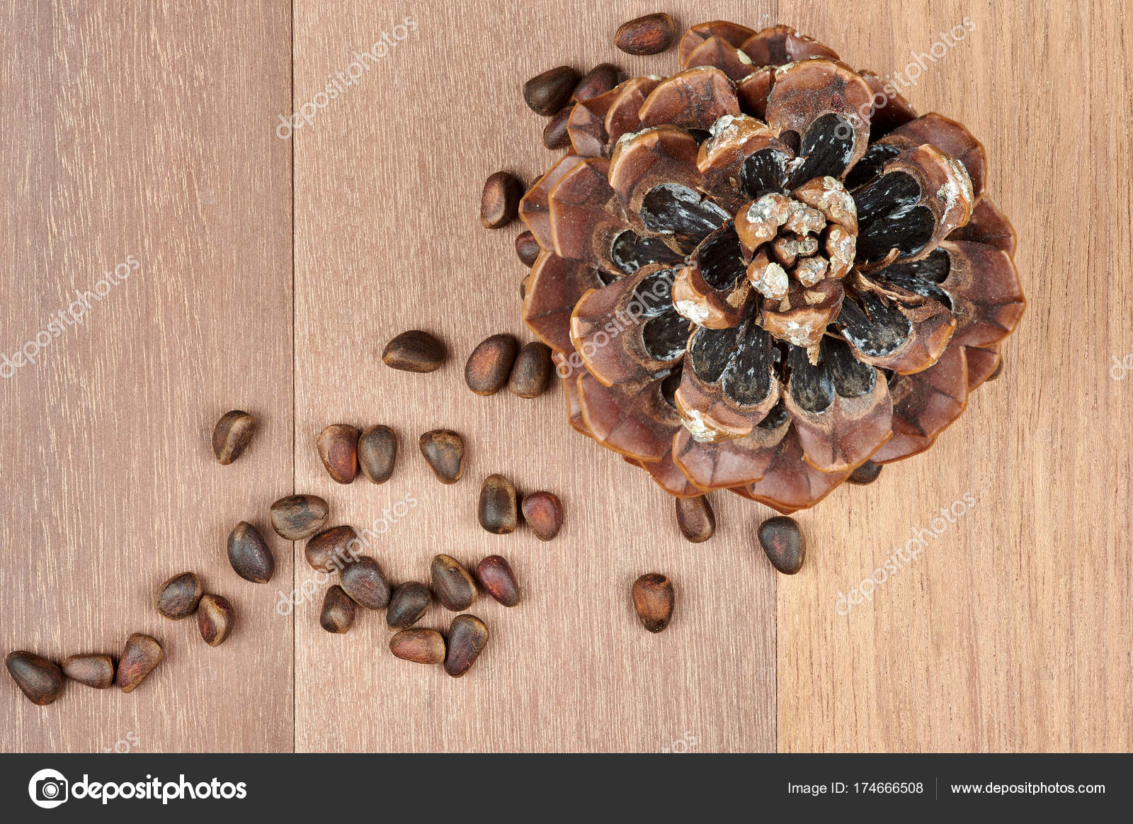 A cone and pine nuts on a background of mahogany boards. Stock Photo by ...