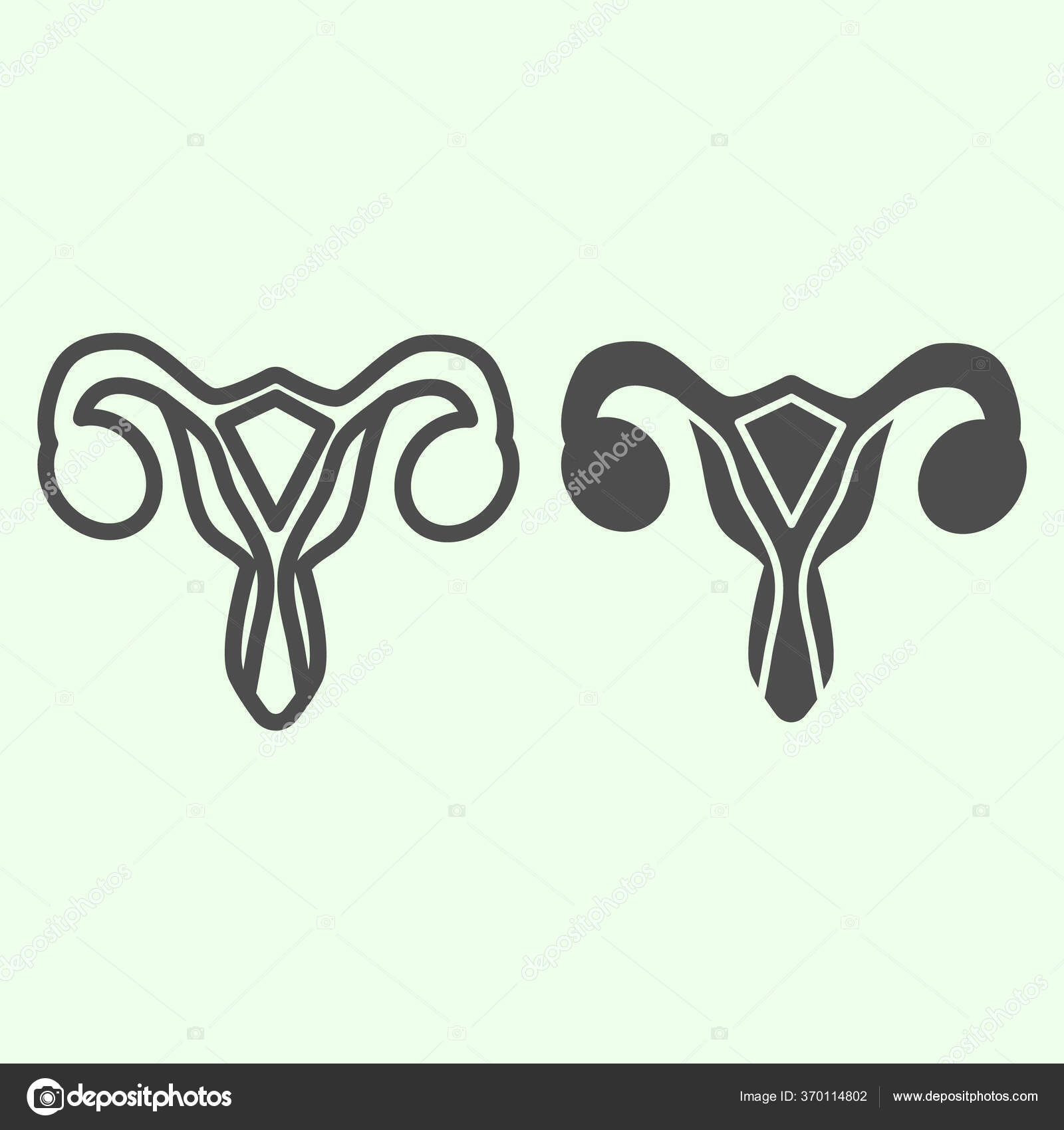 Female reproductive organ line and solid icon. Woman uterus outline ...