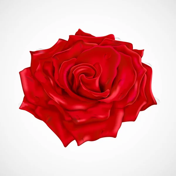 100,000 3d rose Vector Images | Depositphotos