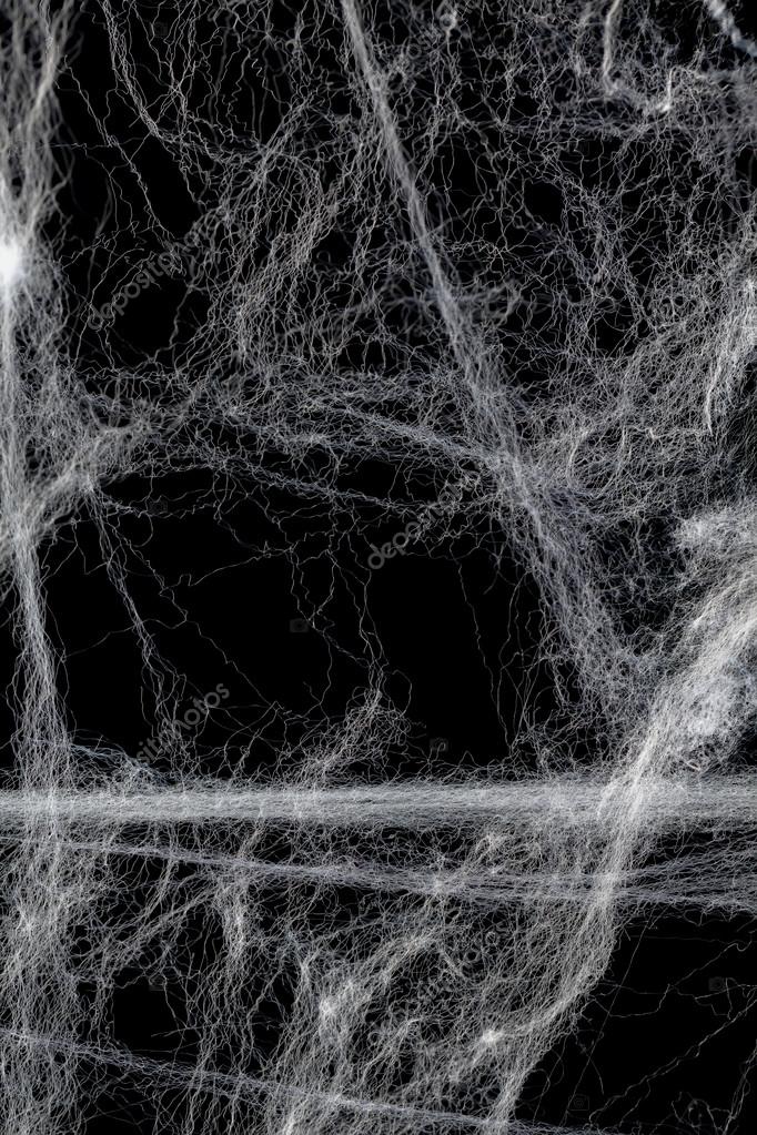 Cobweb overlay against black Stock Photo by ©Klanneke 125292176