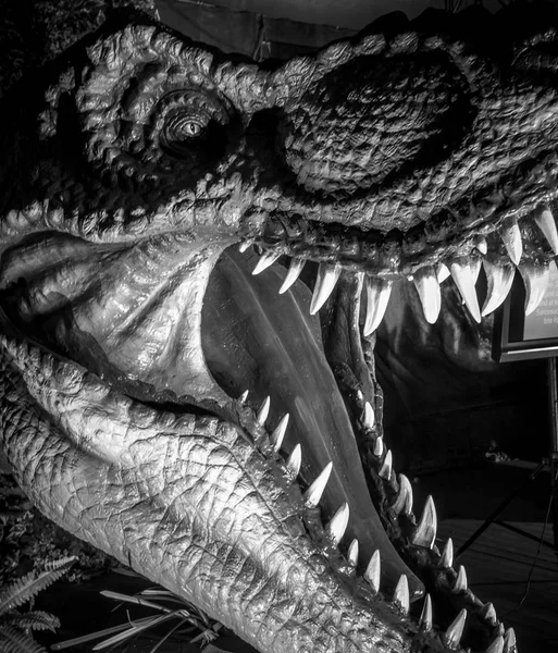 Tyrannosaurus rex dinosaur with tusks, long, sharp teeth ⬇ Stock Photo ...