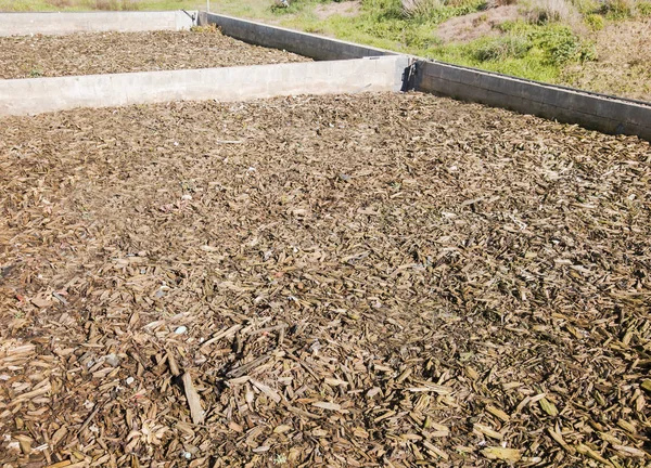 Biofilter Stock Photos, Royalty Free Biofilter Images | Depositphotos