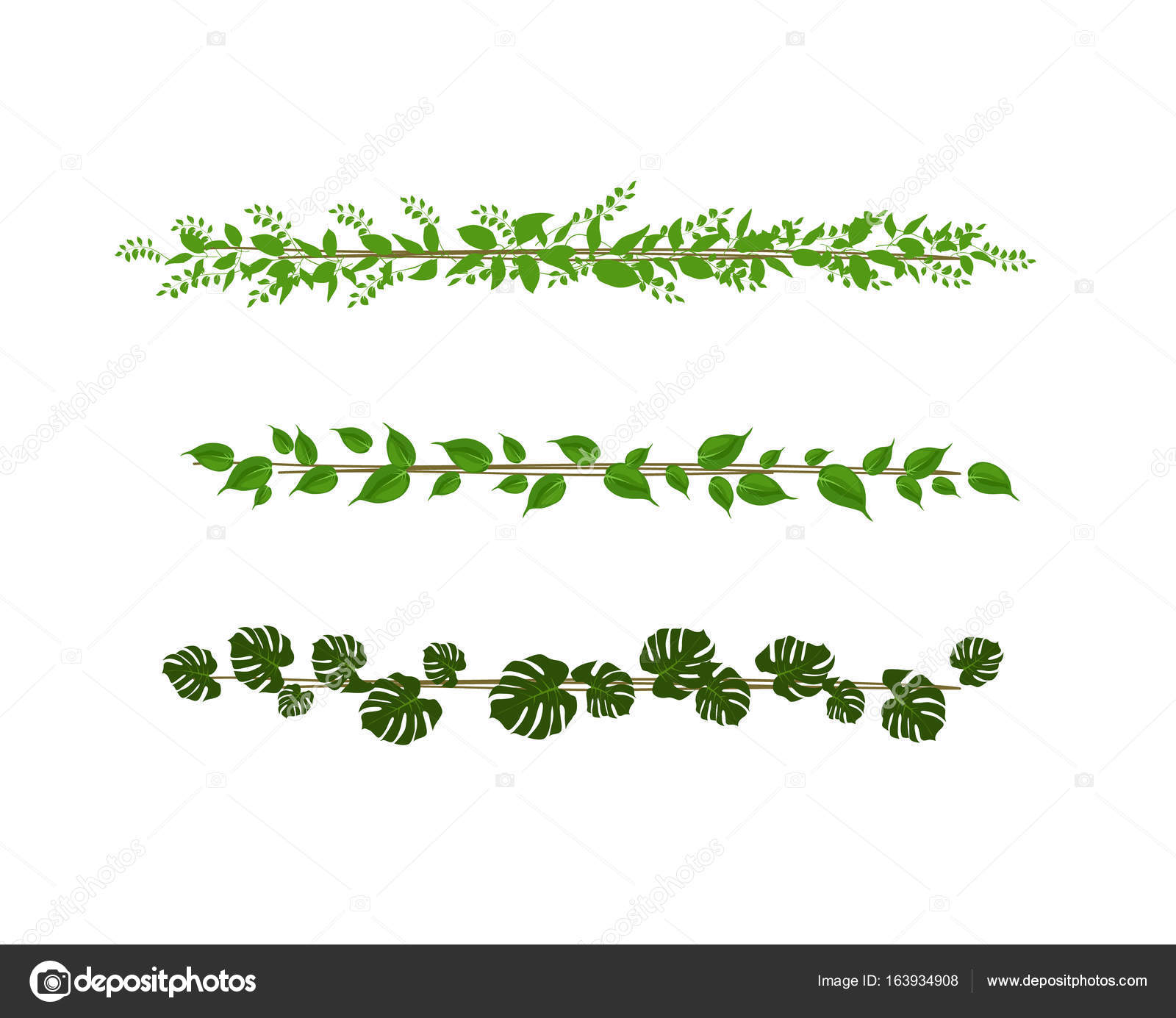 Greenery tropical lines Stock Vector Image by ©TihonovaMaria #163934908