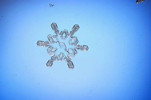 Frozen embryo Stock Photos, Royalty Free Frozen embryo Images ...