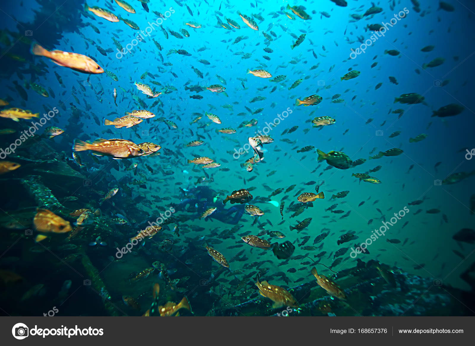 Sea water texture — Stock Photo © xload #168657376