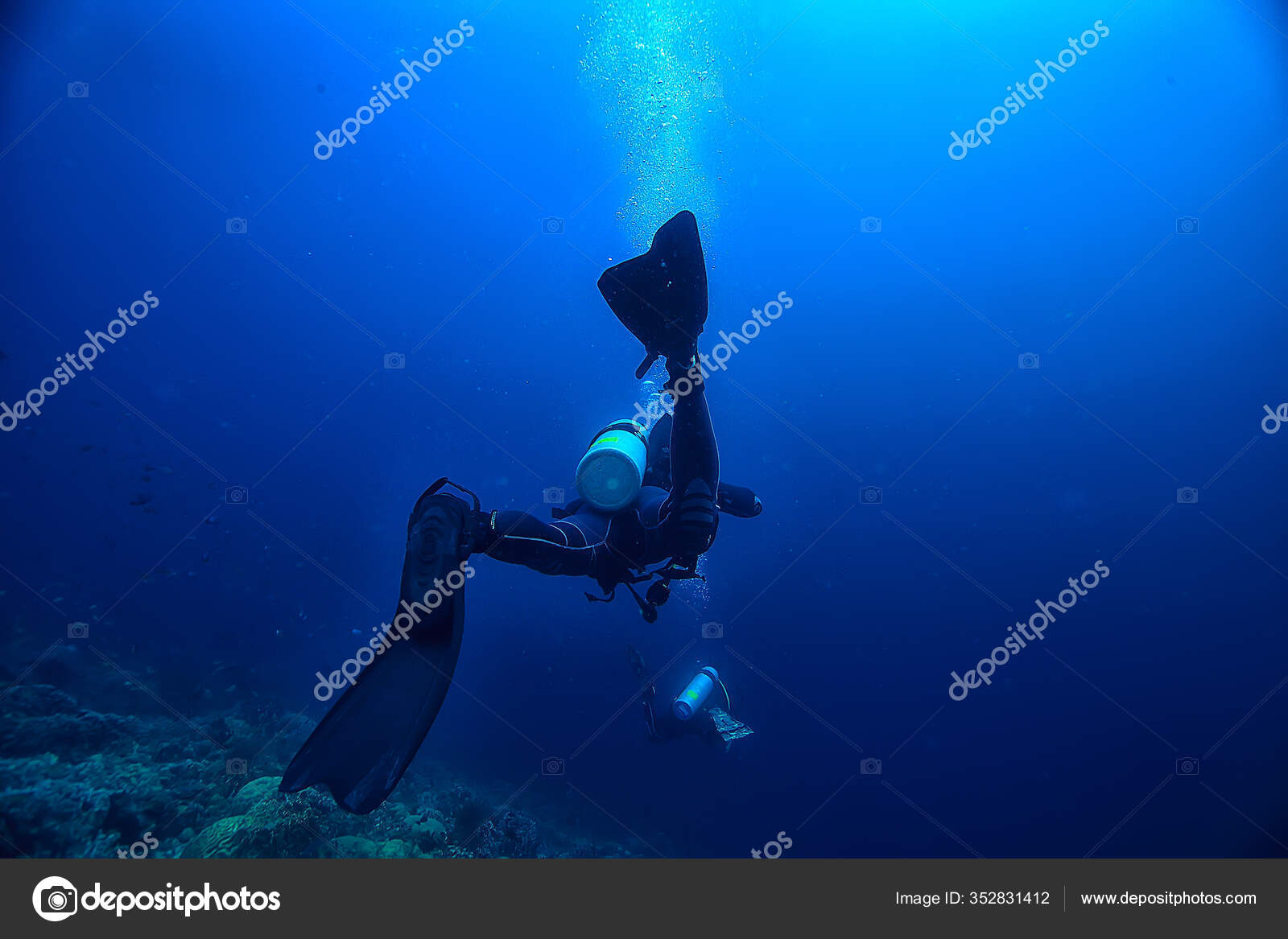 Diver Flippers View Back Underwater Underwater View Back Person ...