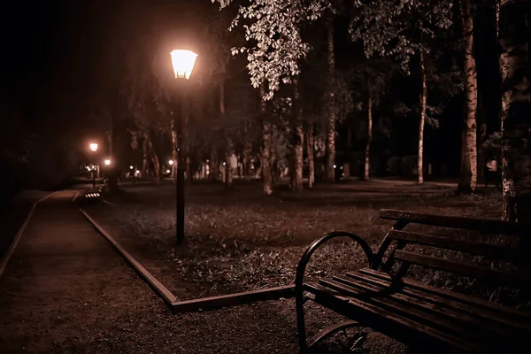 night in the park landscape, abstract view of the alley, trees and ...
