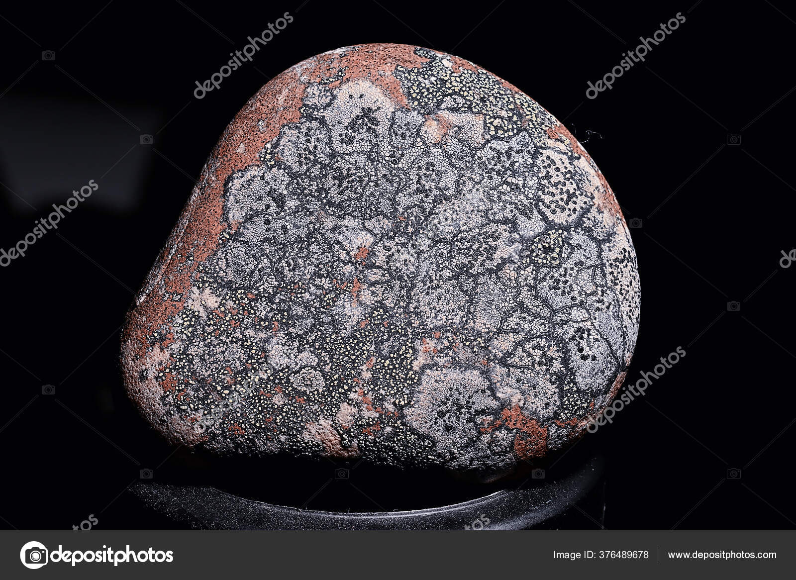 Lichen Stone Texture Macro Background Abstract Nature Stock Photo by ...