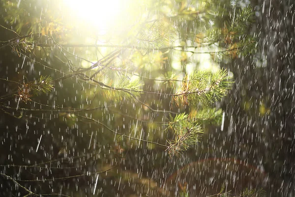 Nature rain sunny Stock Photos, Royalty Free Nature rain sunny Images ...