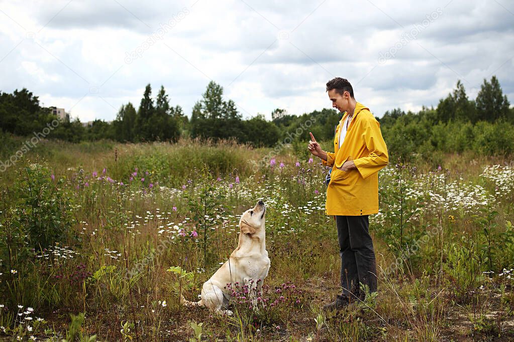 Vista lateral del joven entrenando obediente atento perro Labrador ...