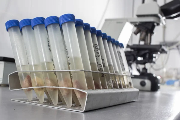 Biological samples Stock Photos, Royalty Free Biological samples Images ...