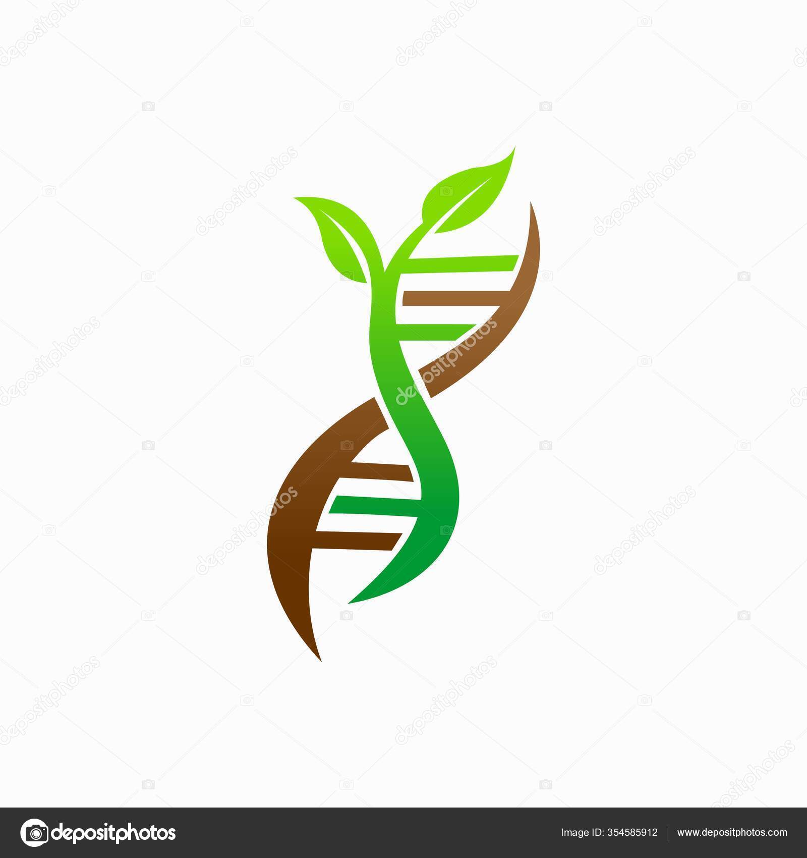 Dna Cell Green Leafs Vector Design Stock Illustration by ...
