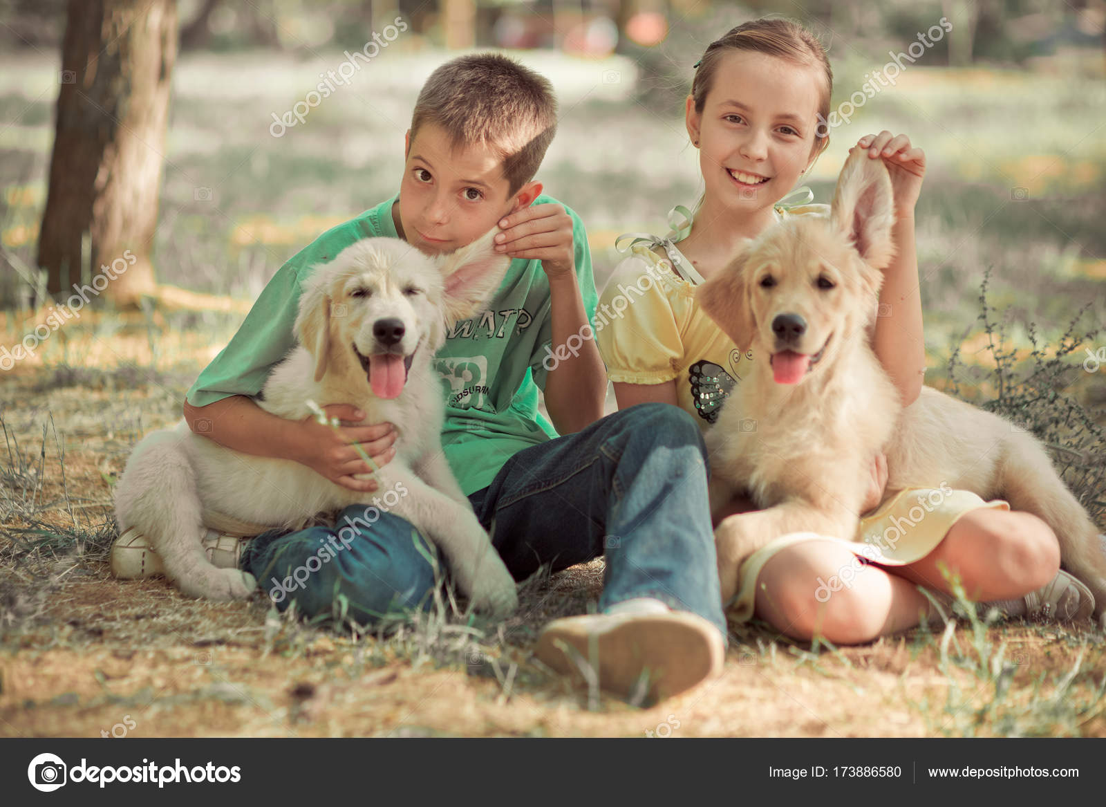 Retriever pup Lovely scene young teen sister brother enjoy posing ...