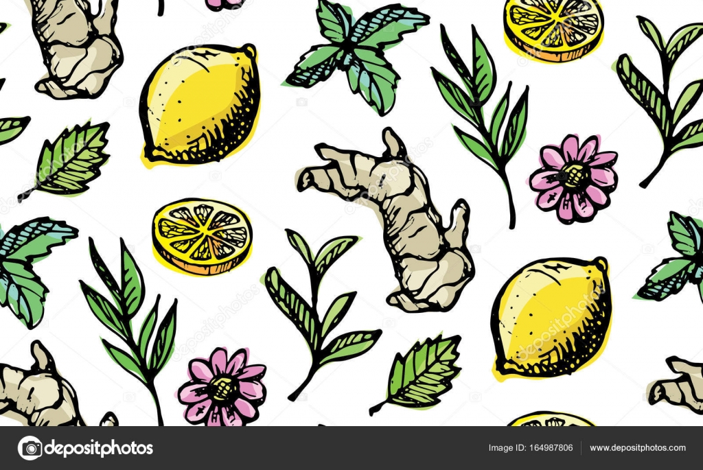 Pattern with mint, lemon slice, ginger, herbs, flower . Collection ...