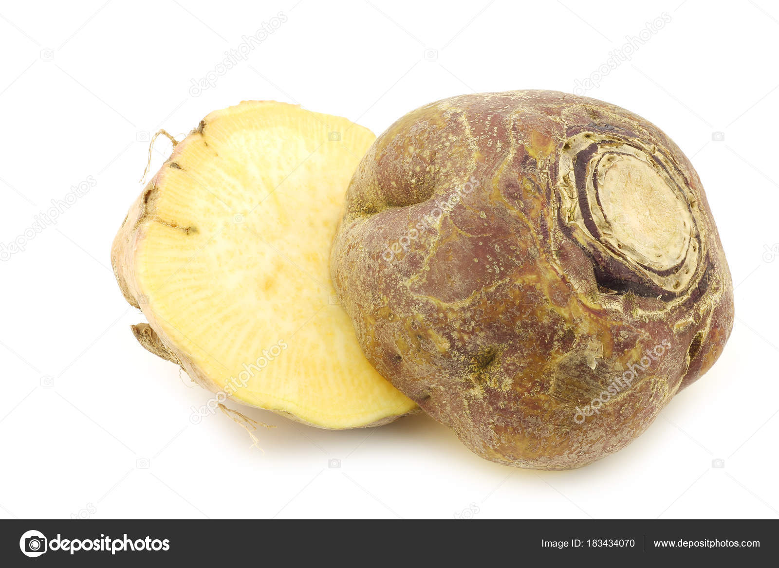 One Fresh Cut Turnip Brassica Rapa Rapa White Background Stock Photo by ...