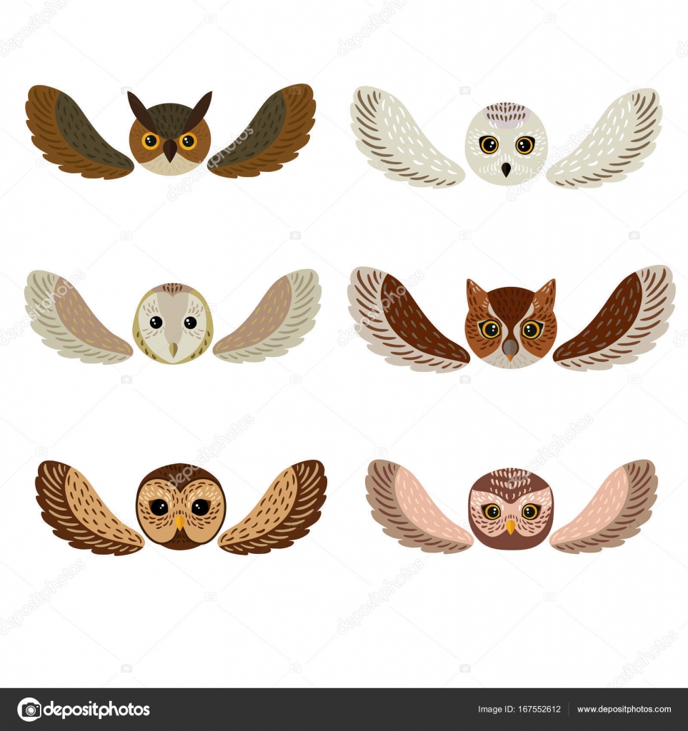 Six owls faces with wings Stock Vector by ©helga.xorimarko.gmail.com ...