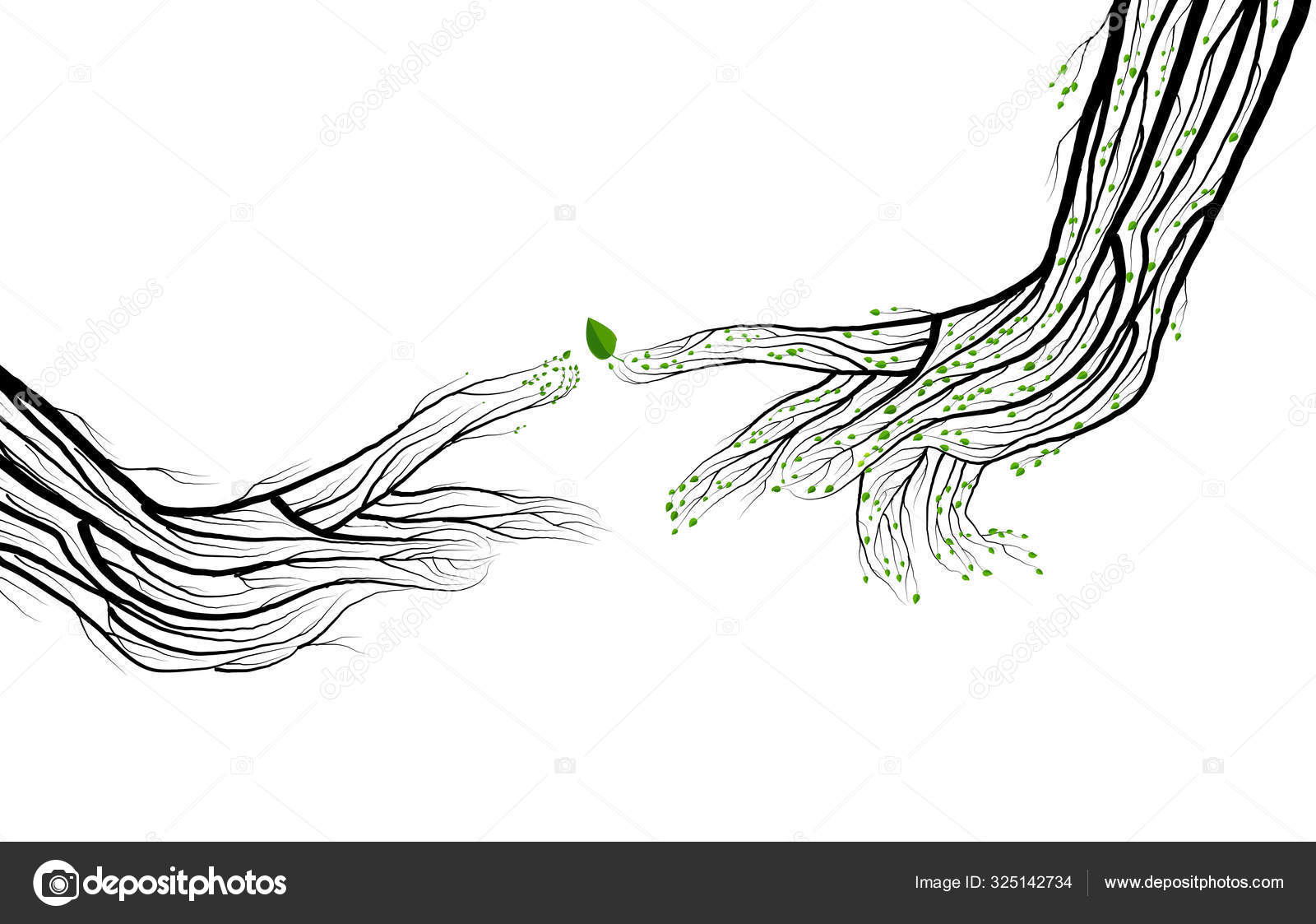 Handtwo human hand looks like tree branches on the wthie background ...
