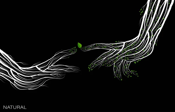 HandHuman hands look like tree branches covering the bird, protect the ...