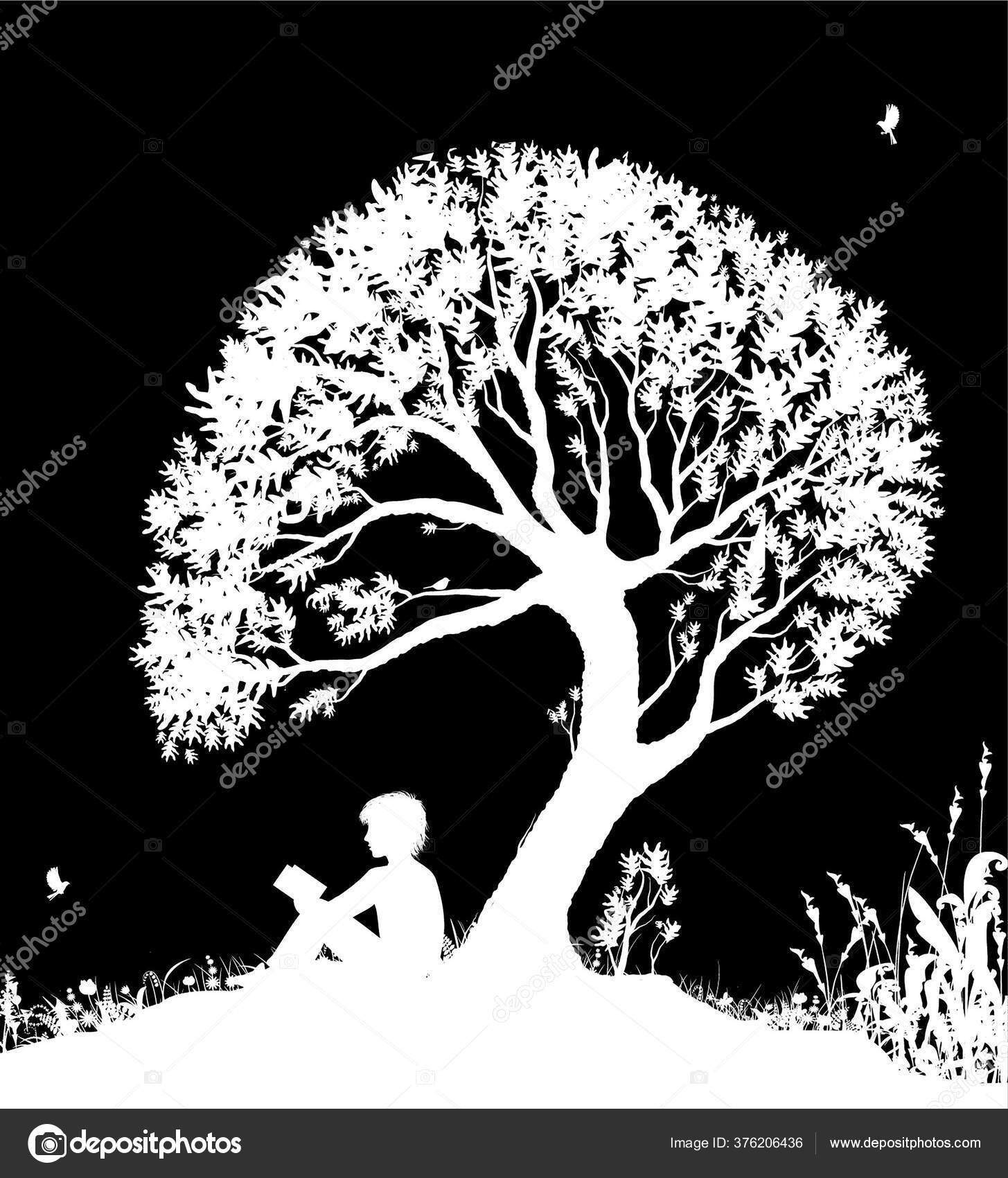 Silhouette Of Boy Reading Under Tree