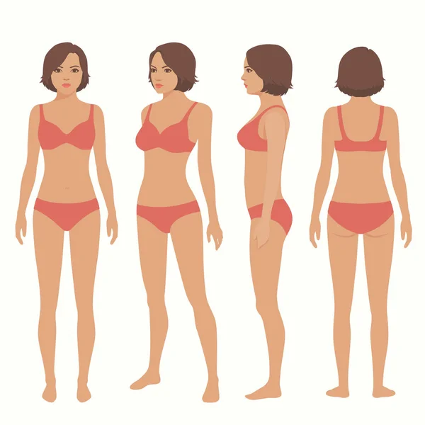 Man Body Anatomy Front Back And Side Standing Vactor Human Pose