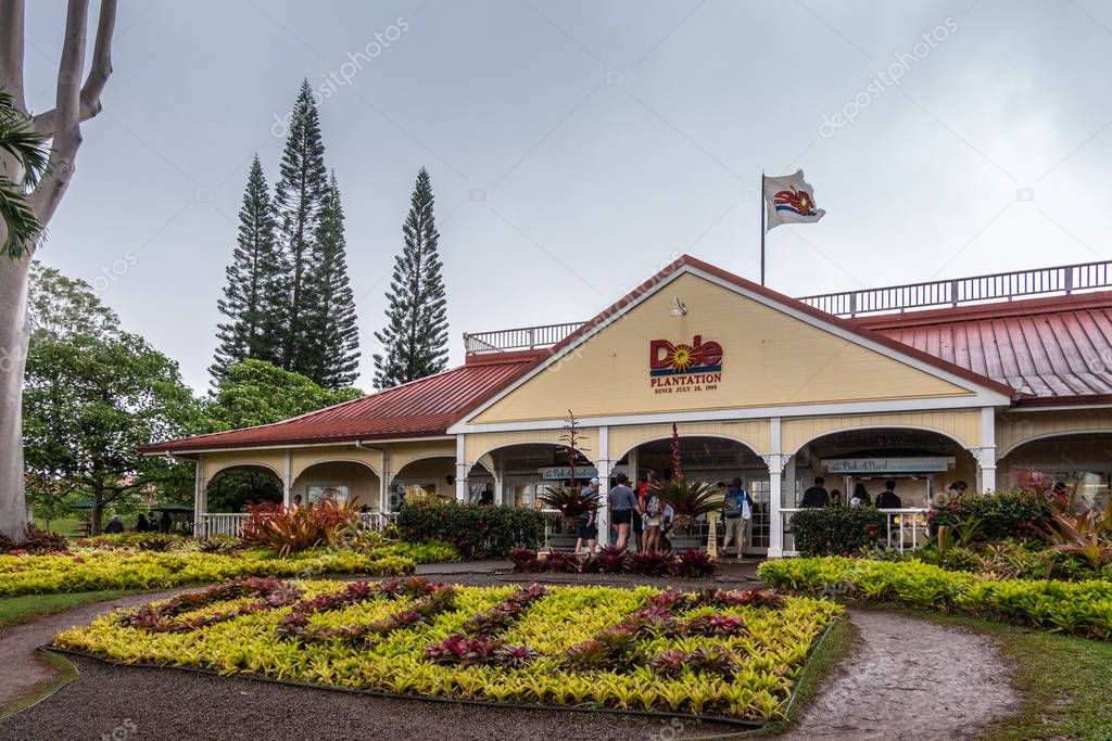 Dole plantación de piña en Wahiawa, Oahu, Hawaii, EE.UU.. 2024