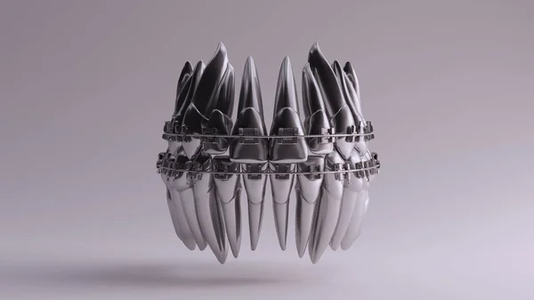 Types of teeth Stock Photos, Royalty Free Types of teeth Images ...