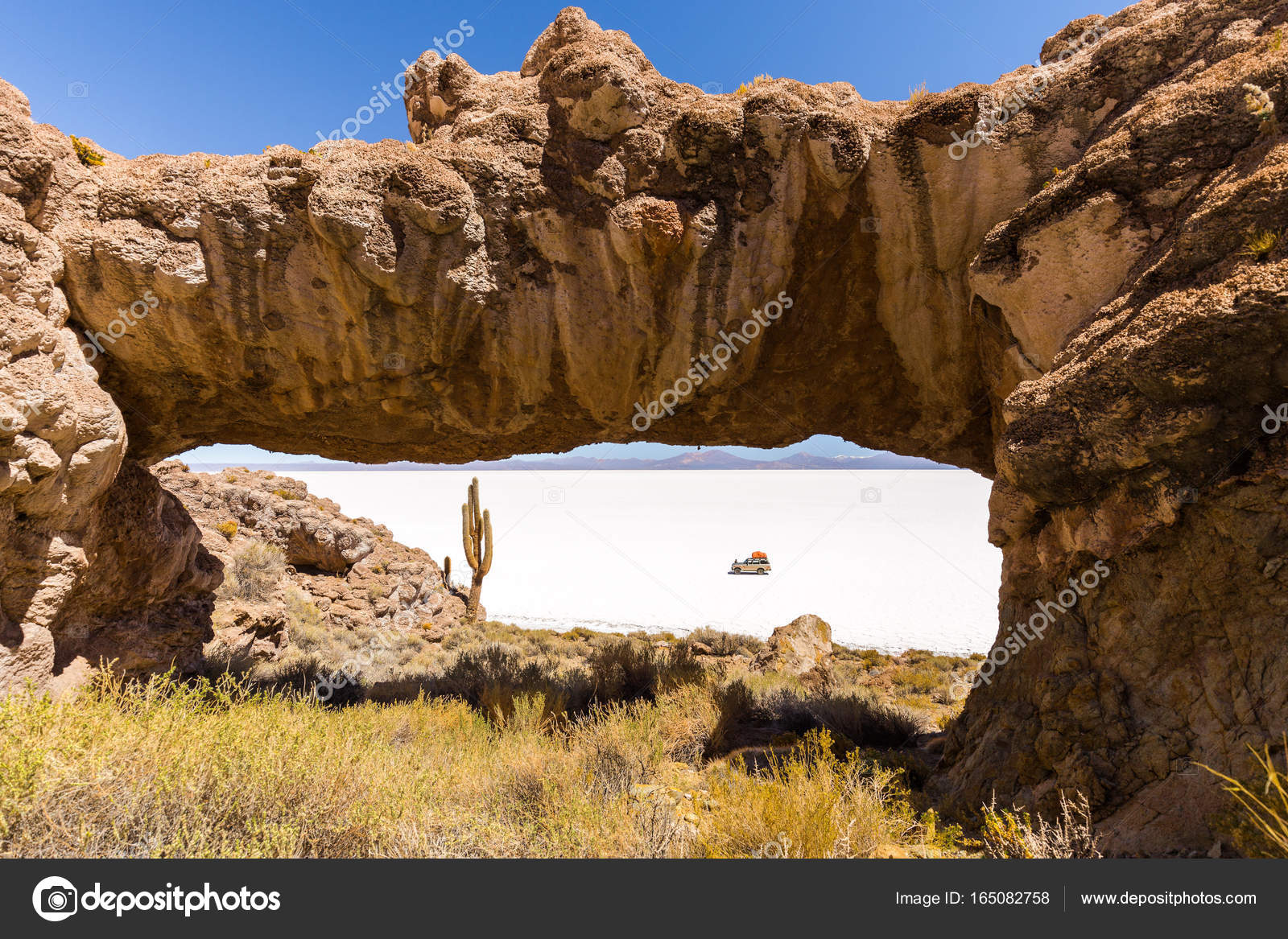 Huge cactuses Salar De Uyuni islands mountains scenic landscape Bolivia ...