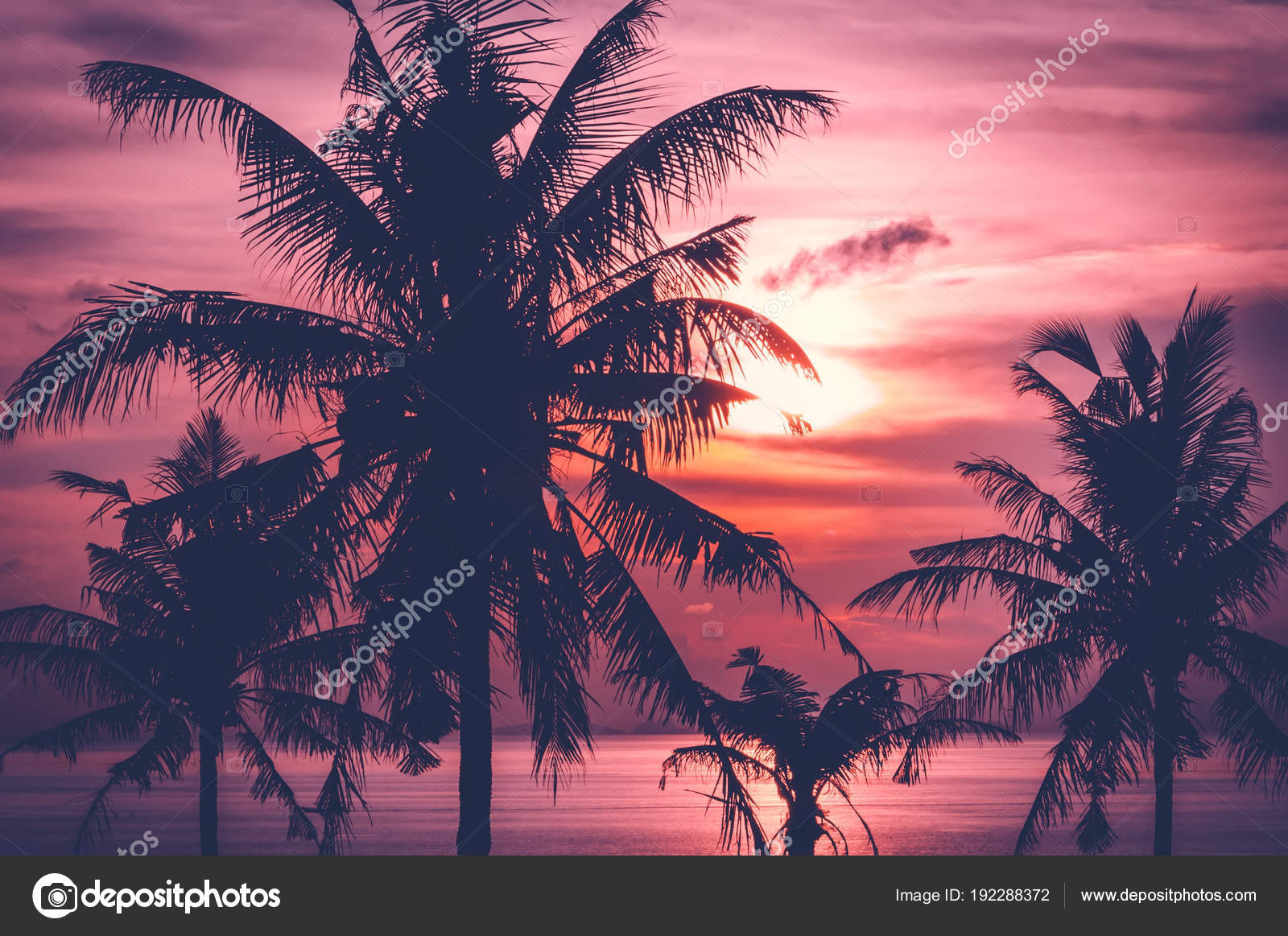 Tropical Sunset Sea Coconut Palm Trees Thailand Stock Photo by ...