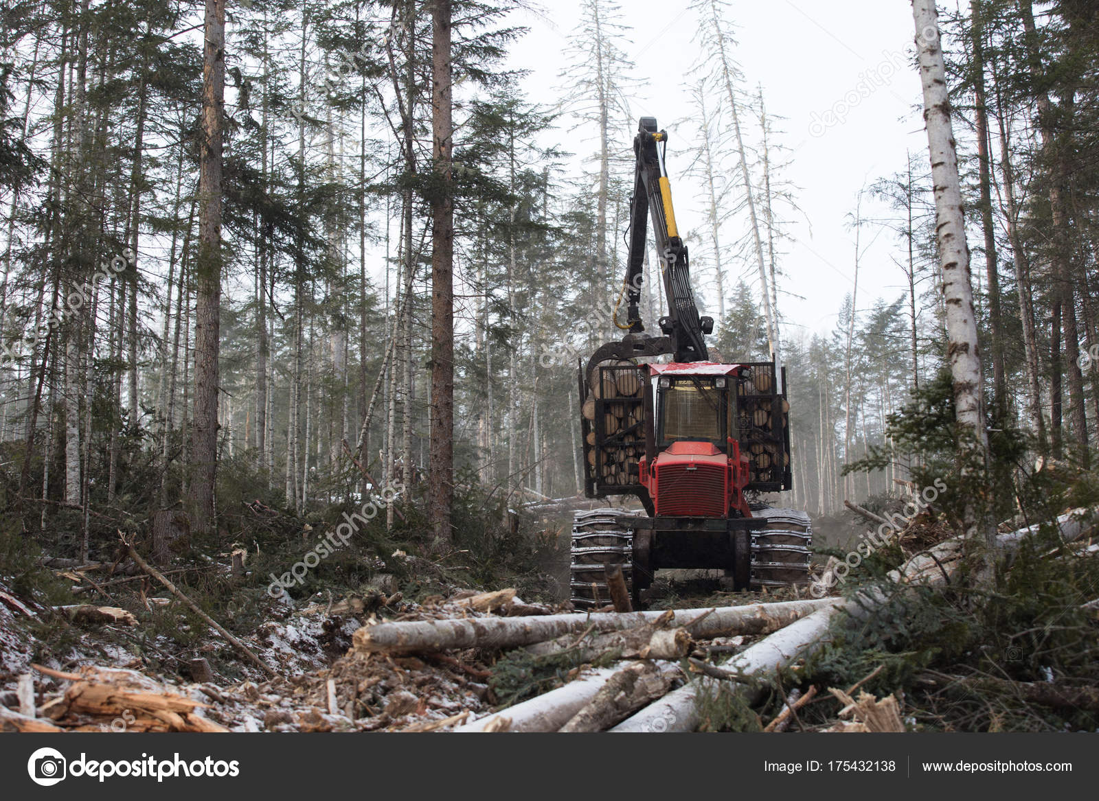 Deforestation Logging Woodworking Timber Storage Deforestation Taiga ...