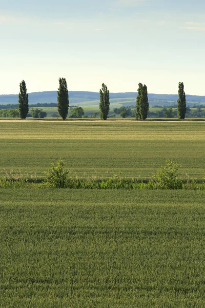 Western fields Stock Photos, Royalty Free Western fields Images ...