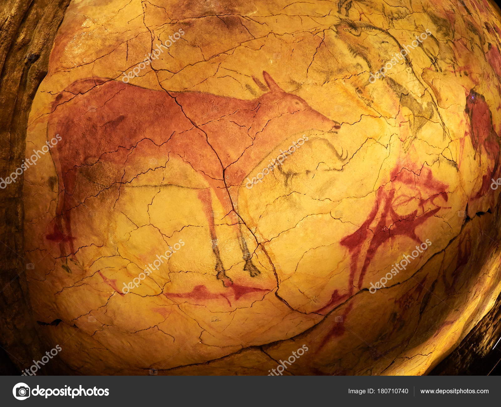 Drawings Ceiling Altamira Cave Santillana Del Mar Cantabria Spain ...