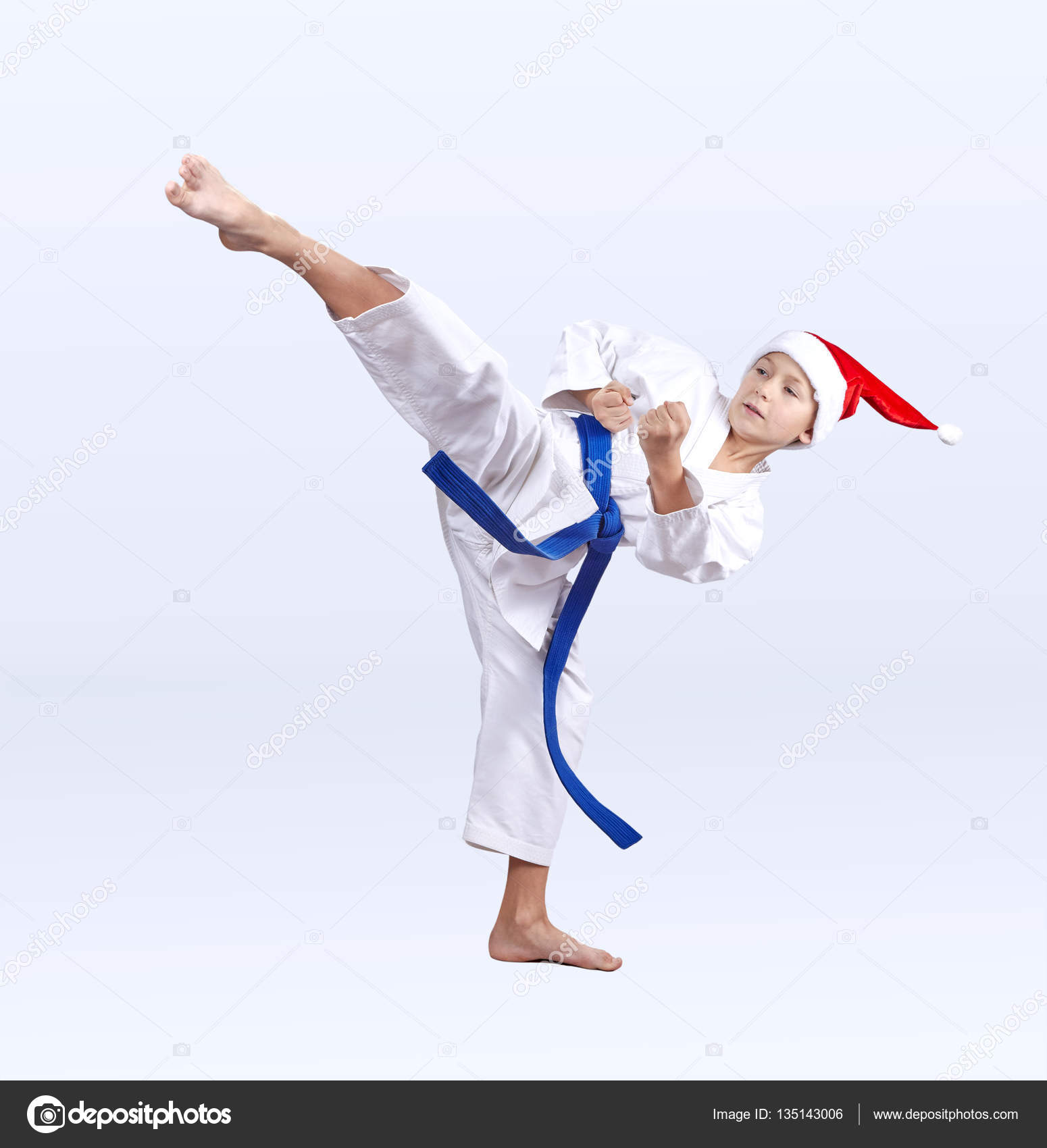 Taekwondo Roundhouse Kick