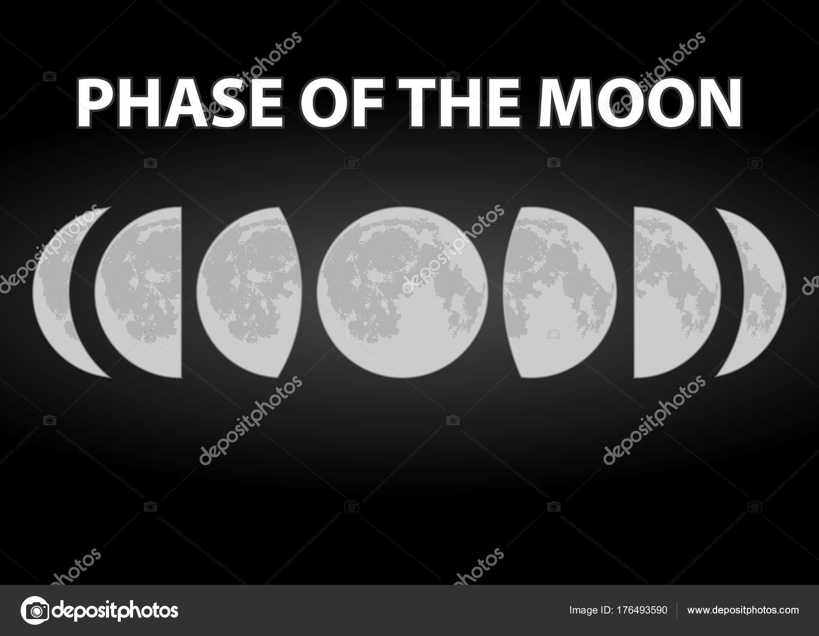 Image Moon Phases Black Background Stock Vector Image by ©FDS_Studio ...