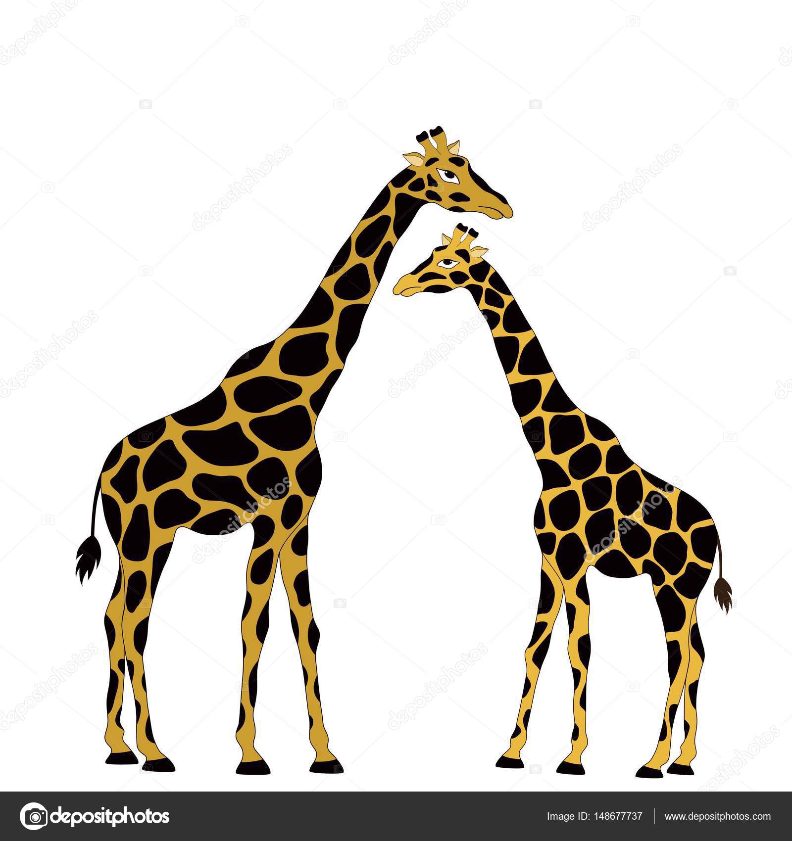 Fondo Con Dos Jirafas Dos Jirafa Besos Oscuro Fondo — Foto De Stock