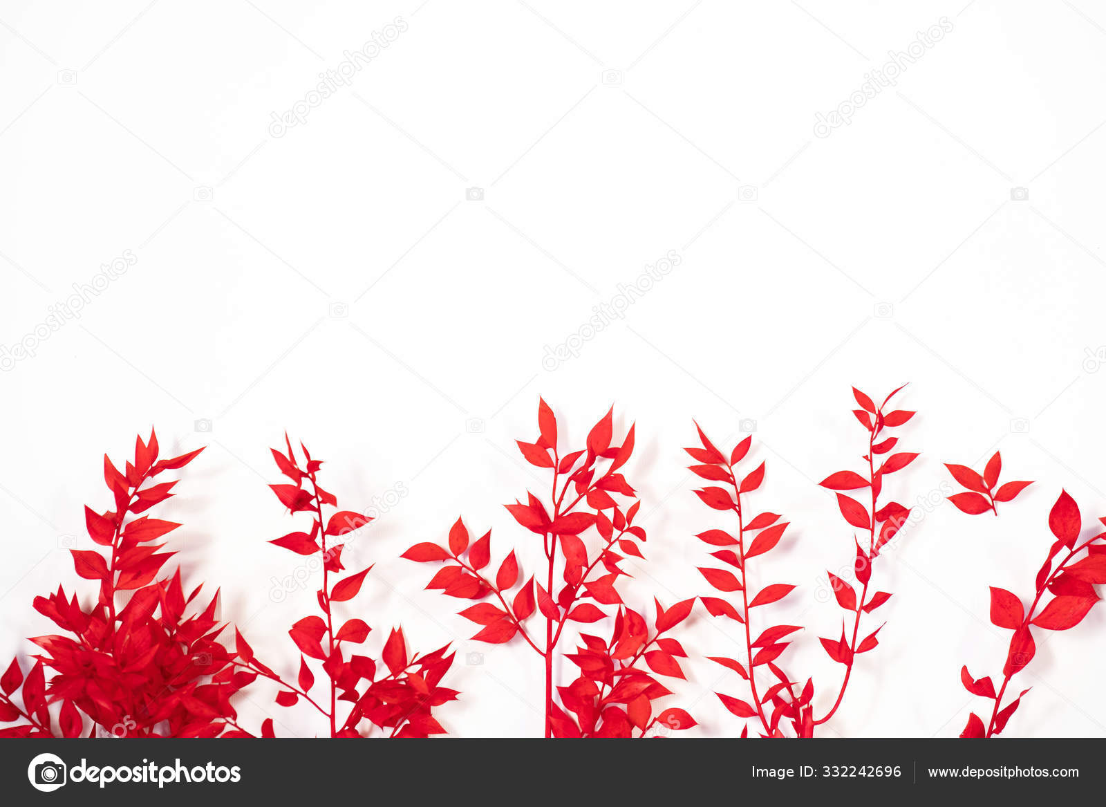 Frame with red leaves on white background. Flat lay, top view Stock ...