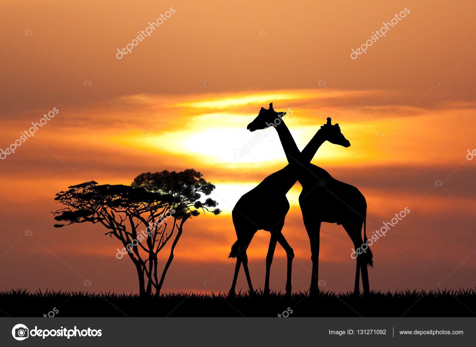 Giraffe Silhouette At Sunset