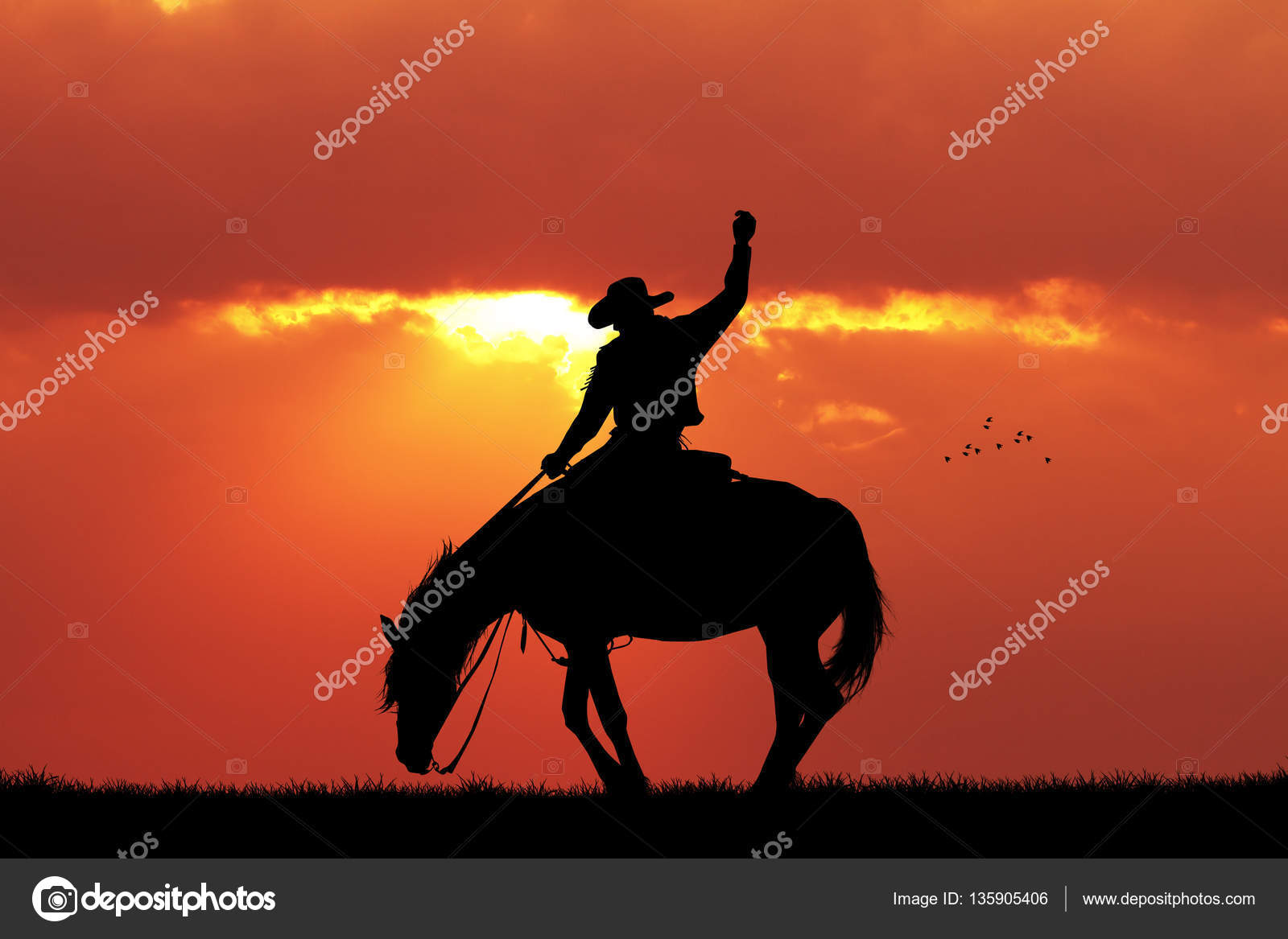 Western Cowboy Silhouette