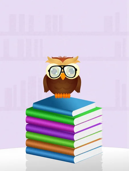 16,574,397 ilustraciones de stock de Búho con libros | Depositphotos