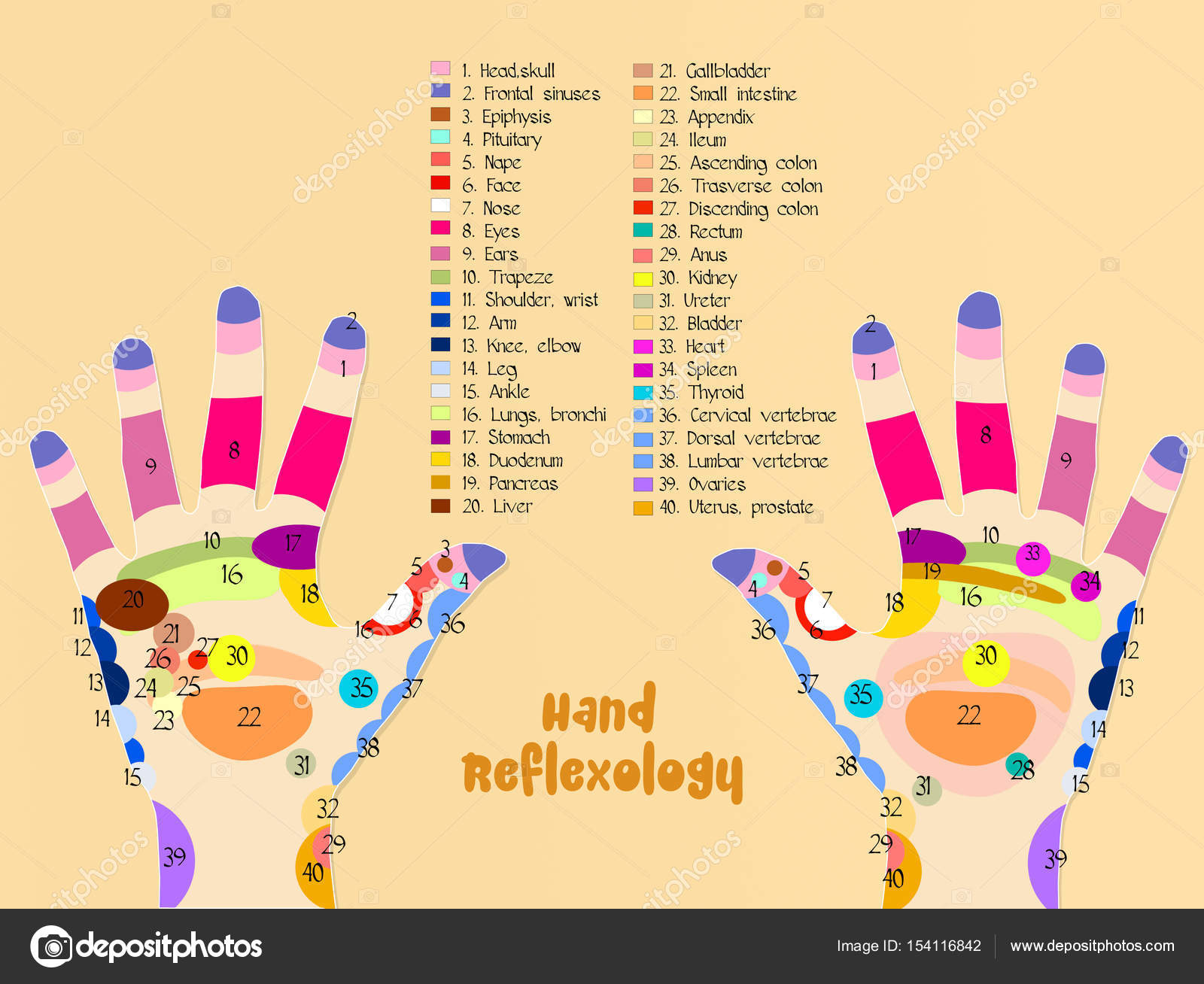 Reflexology Finger Chart